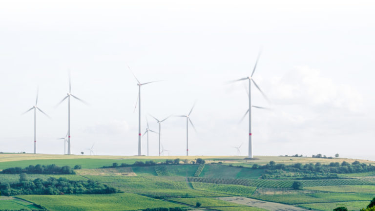 Carbon Advisory – Kosher Climate