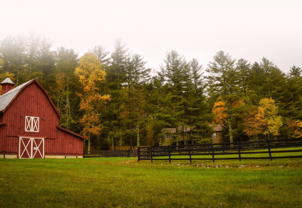 Kosher Climate – End to end climate change solutions