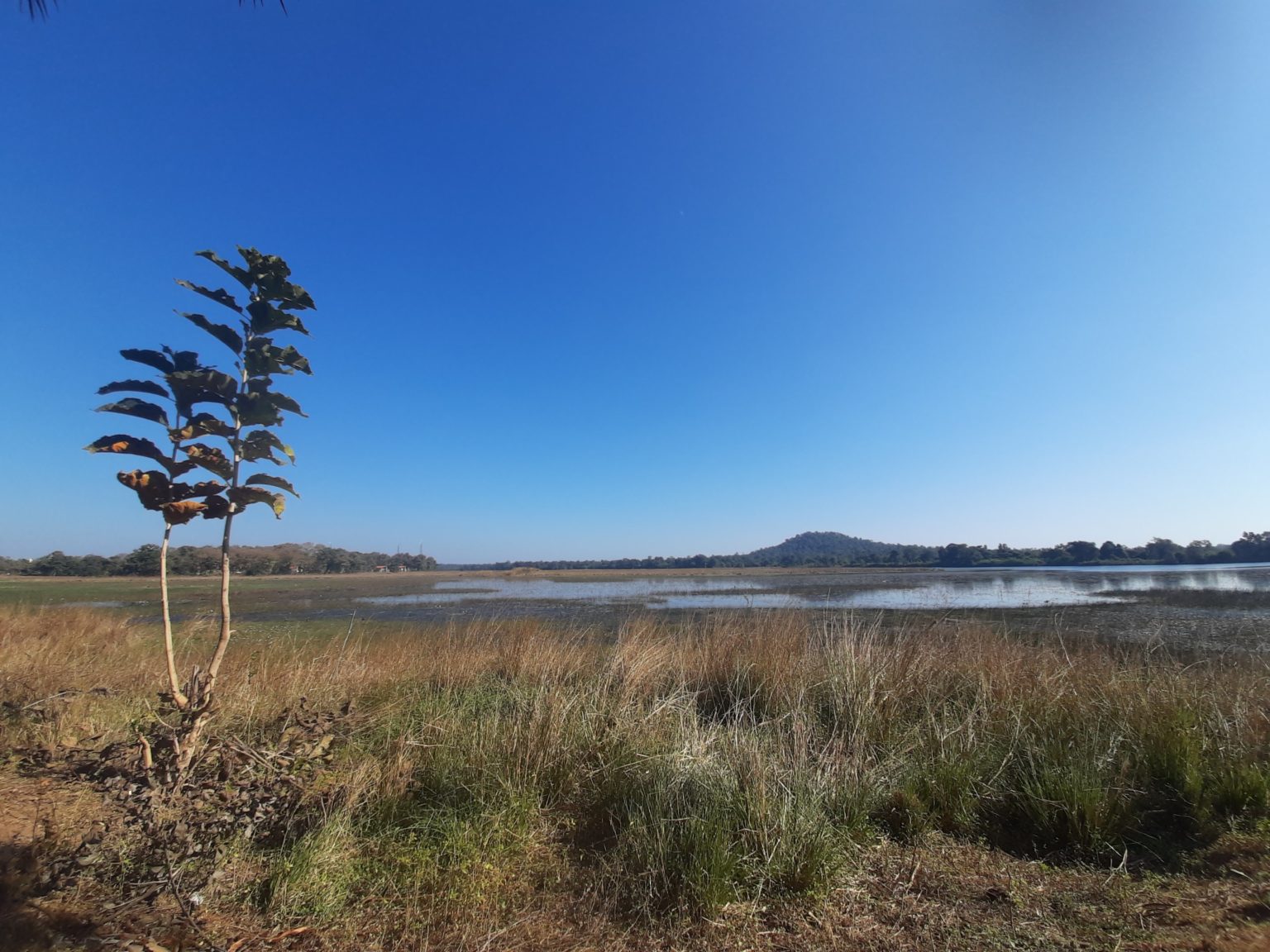 Knowledge Centre - Kosher Climate